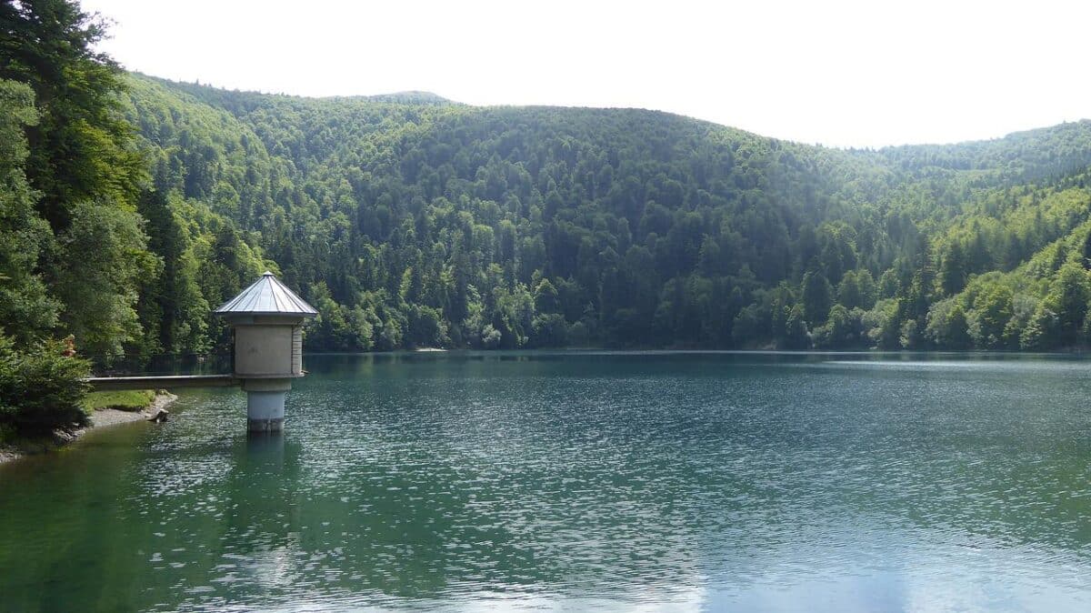 Voici 4 randonnées à faire dans le Haut-Rhin
